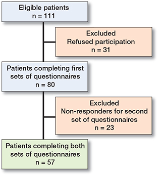 Validity and reliability of the adapted Dutch version of the Brace ...