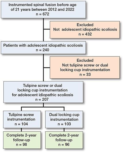 Mechanical axial instability of segmental pedicle screw instrumentation ...