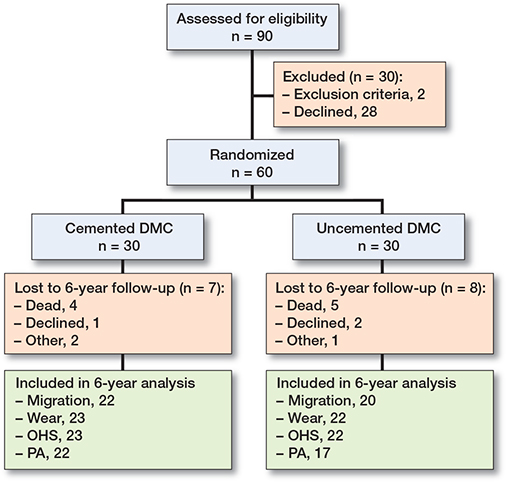 Cemented and cementless dual mobility cups show similar fixation, low ...