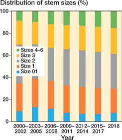 Influence of implant variations on survival of the Lubinus SP II stem ...